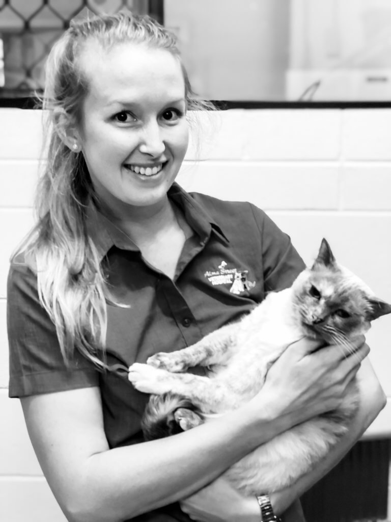 About Us - Alma Street Vet Hospital's Caring, Expert Vet Team