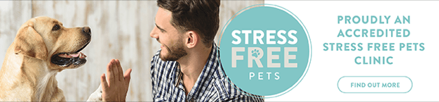 Make a Booking or Get Advice - Contact Eltham Veterinary ClinicPractice